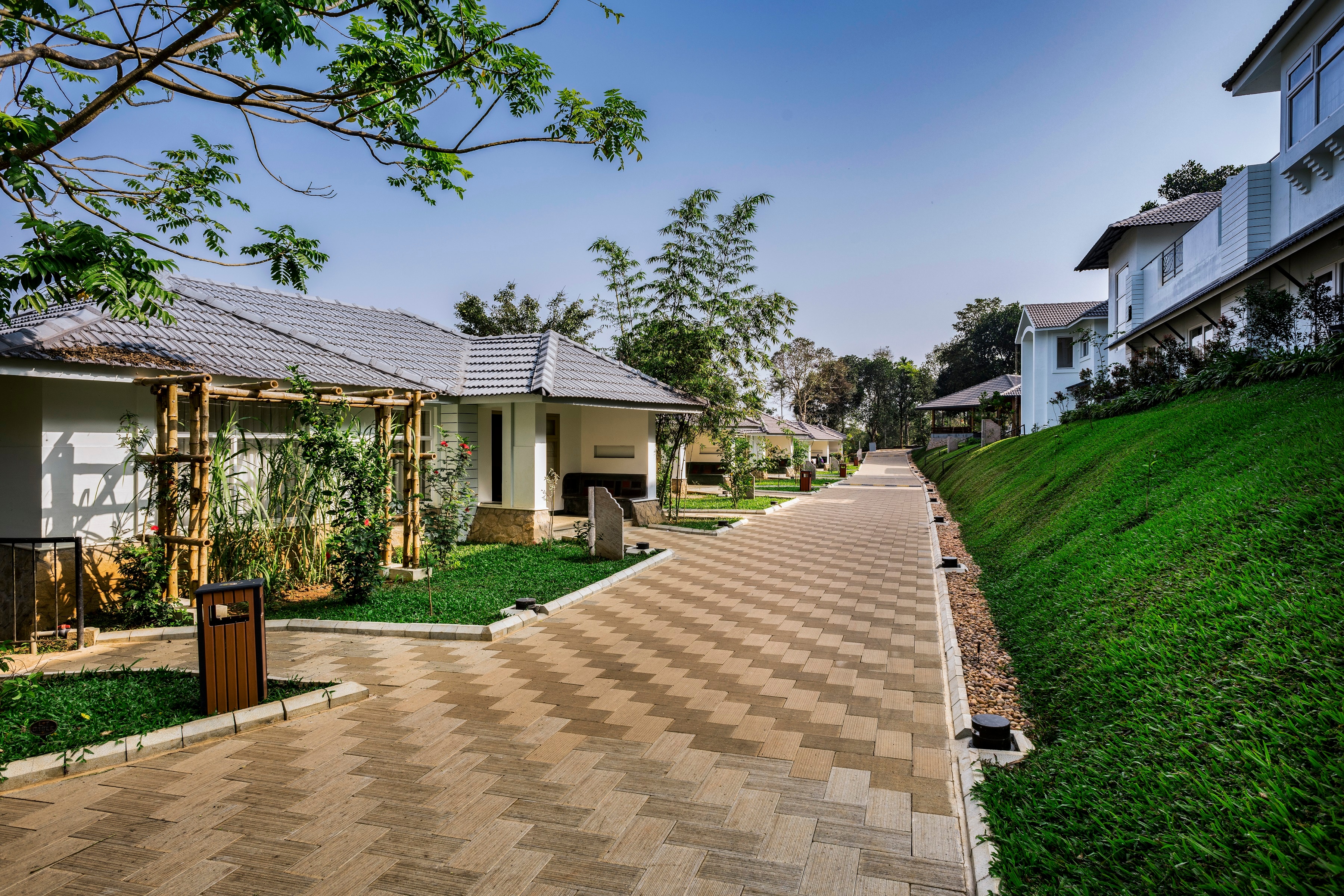 Sterling Wayanad Resort Wayanad - Reviews, Photos & Offer