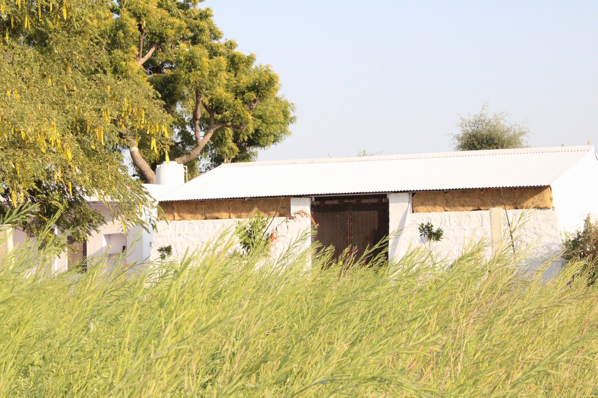 DSG SAFARI CAMP Jawai 𝗕𝗢𝗢𝗞 Falna Camp