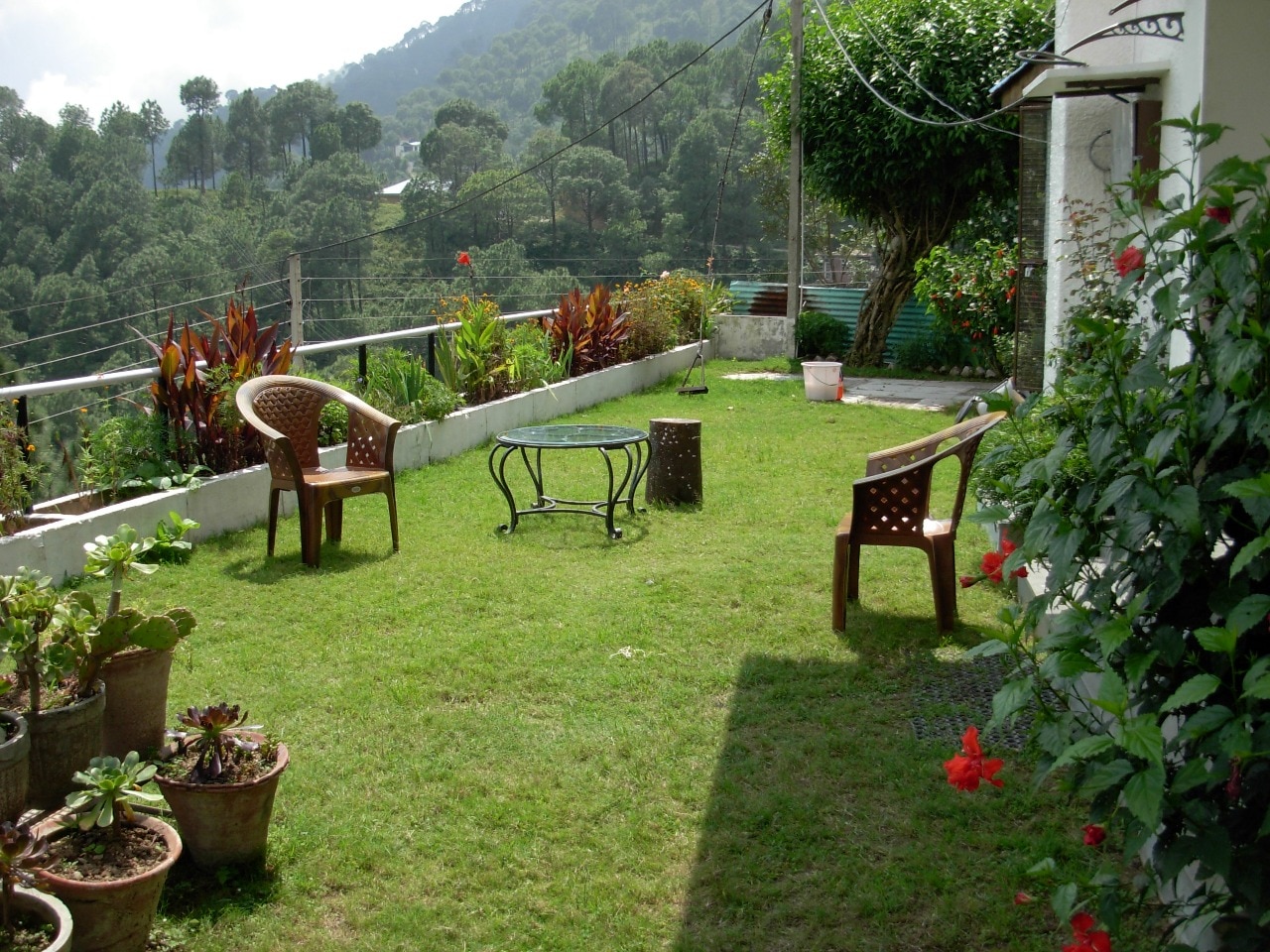 Amar Holiday Inn | Hill-view Cottage Kasauli - Reviews, Photos & Offer