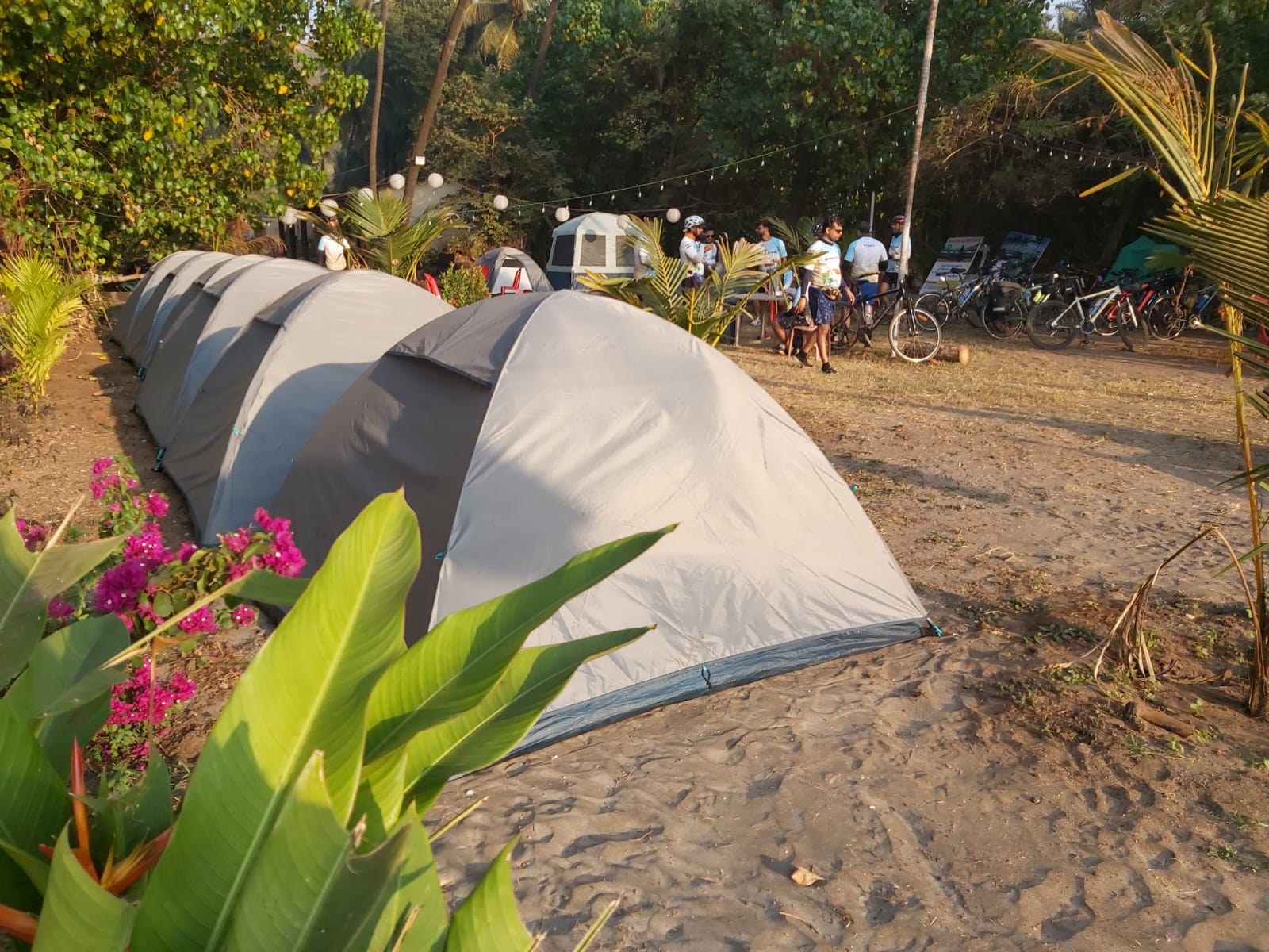 Travel Moody Campsite 𝗕𝗢𝗢𝗞 Dapoli Camp