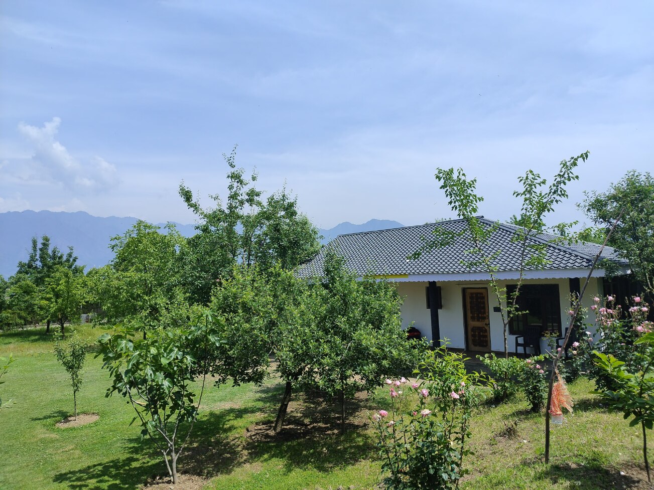Shade Tree Resort s 𝗕𝗢𝗢𝗞 Srinagar Homestay