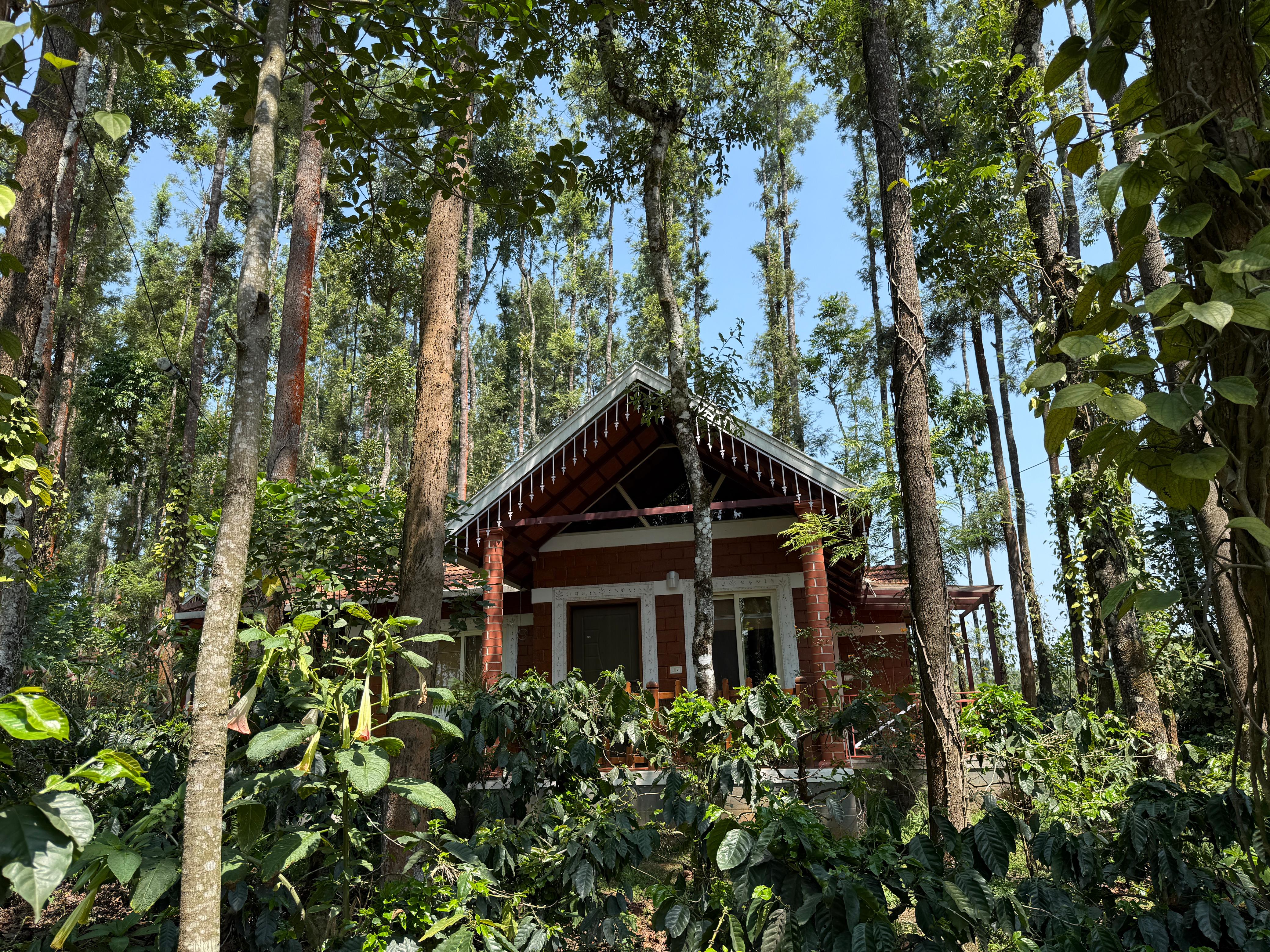 Coffee Grove Resort Chikmagalur - Reviews, Photos & Offer