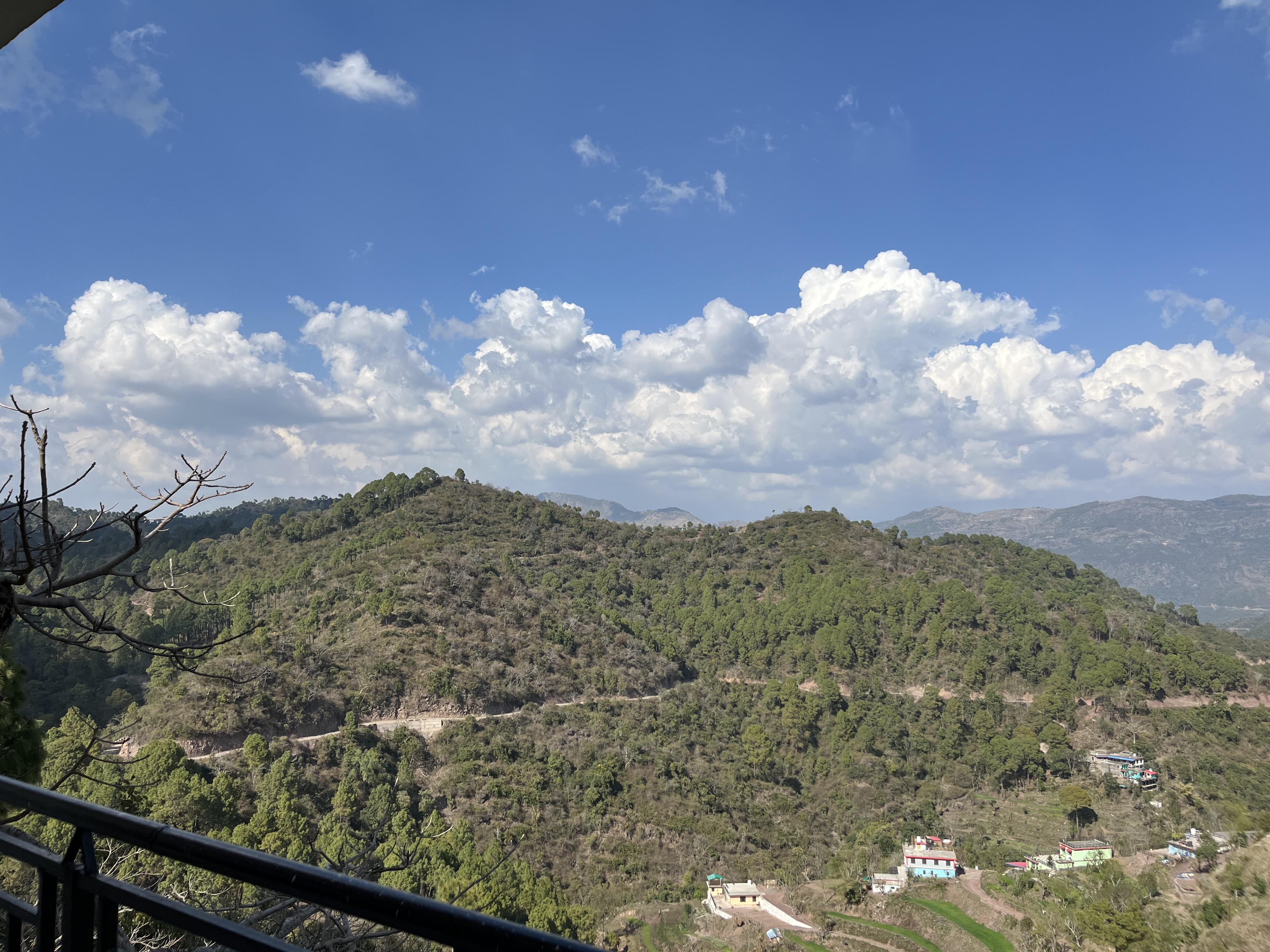 Brown bird 𝗕𝗢𝗢𝗞 Nahan Homestay