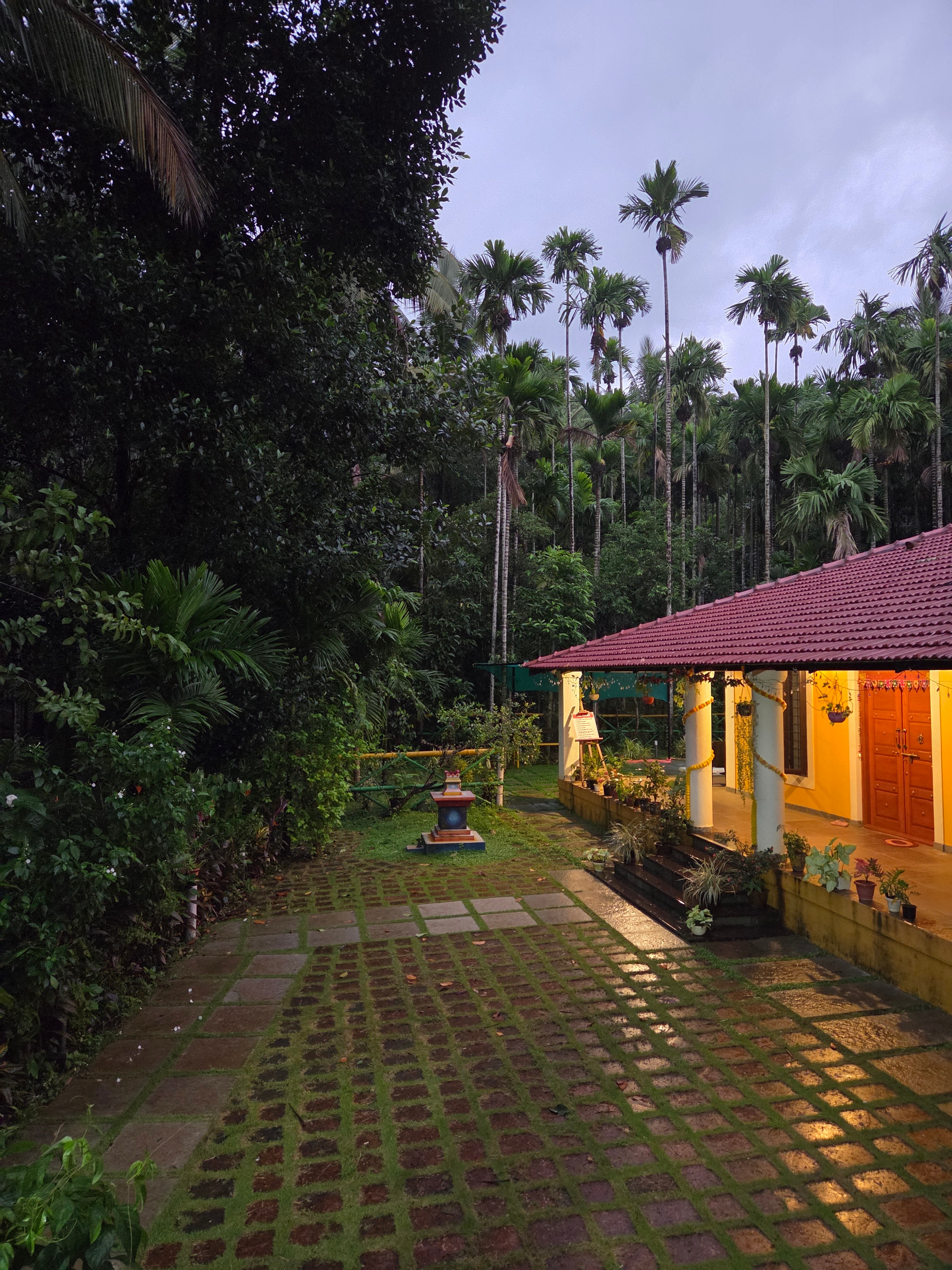 Amenities of Swamighar Farmhouse | Private Pool in South Goa