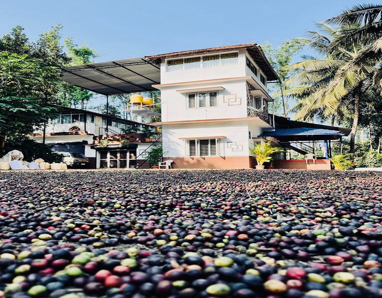 The Outback Coorg Estate by StayApart 𝗕𝗢𝗢𝗞 Coorg Farm House