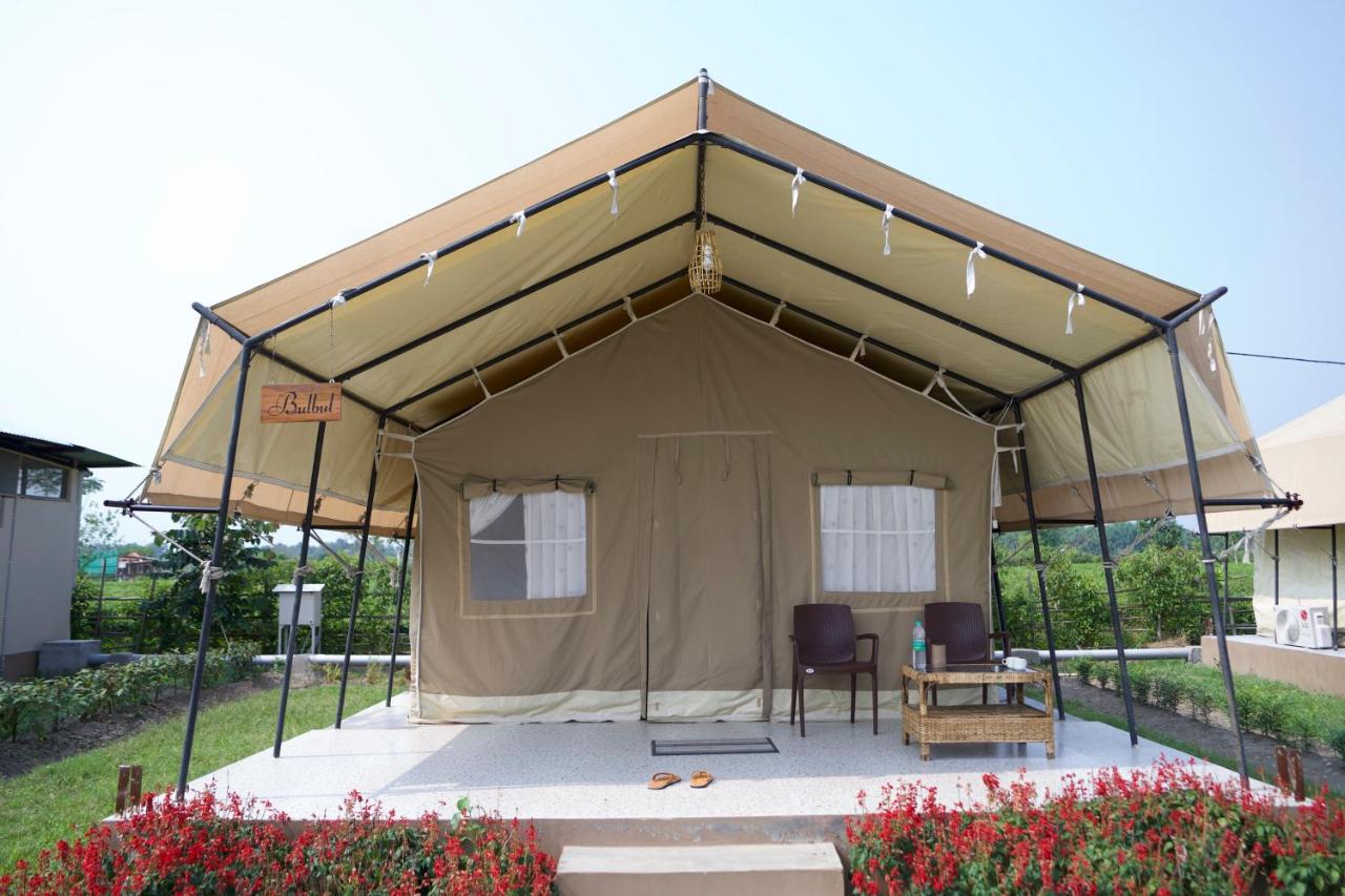 Sonai Nameri Tents And Cottages Nameri Resort Forest 𝗕𝗢𝗢𝗞 Chariduar Cottage