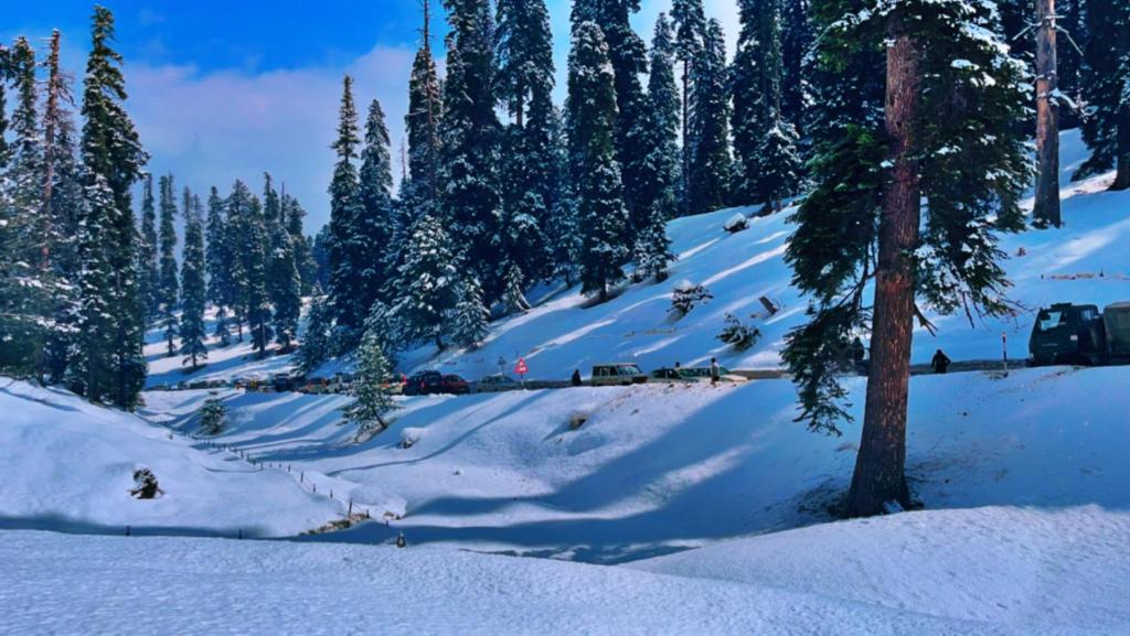 Everest Guest House Tangmarg Gulmarg - Reviews, Photos & Offer