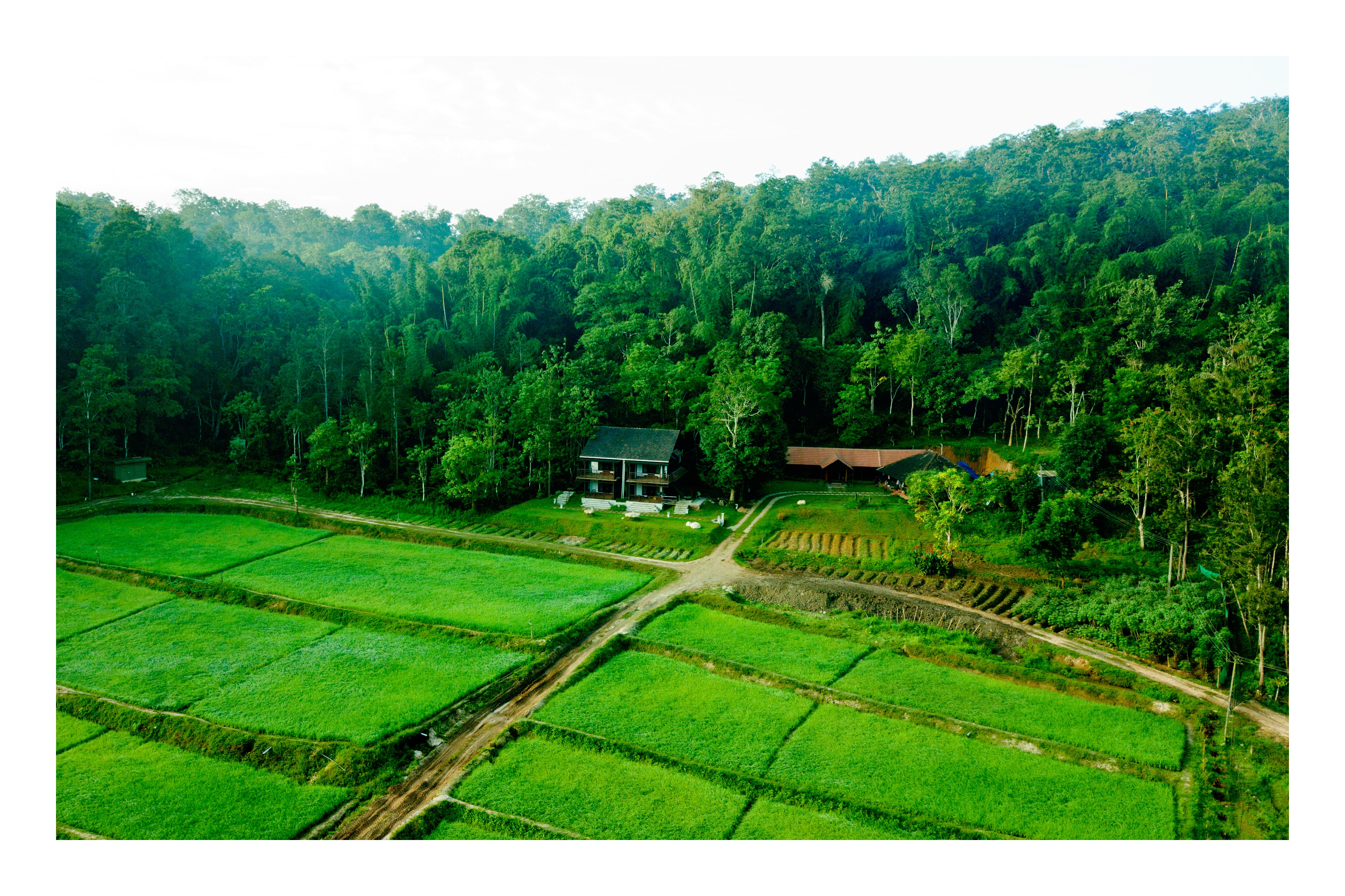 Rooms of Vayal Veedu luxury farm villa - Villa in Wayanad