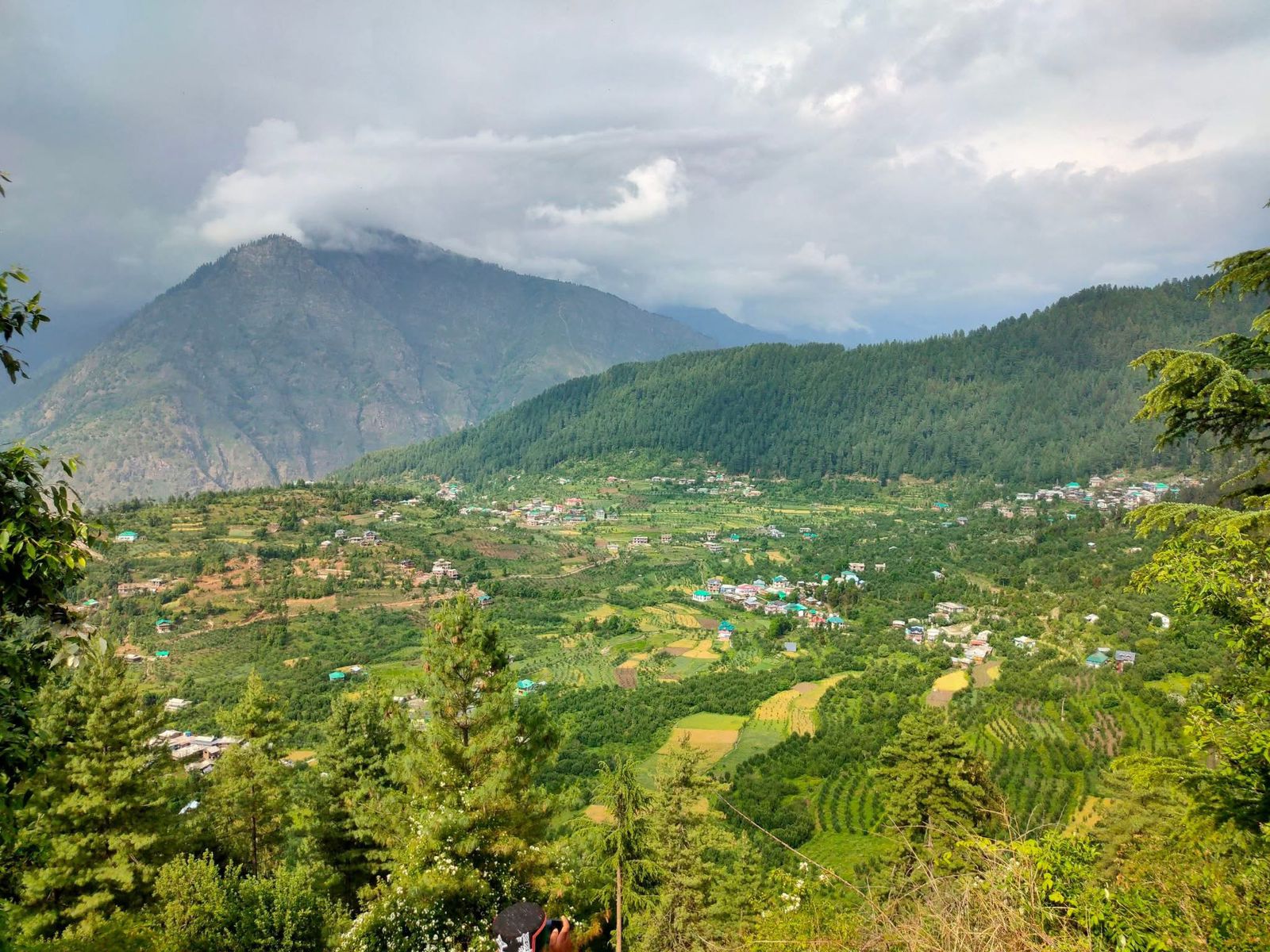 Nature's Retreat Homestay | Cabins in Sainj 𝗕𝗢𝗢𝗞 Sainj Homestay