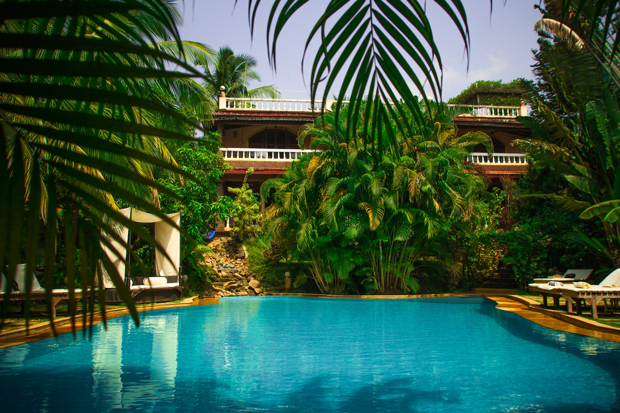 Papa Jolly Eco Resort - Near Morjim Beach Goa - Reviews, Photos & Offer