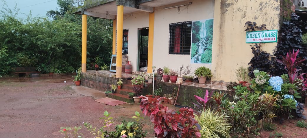 Green Grass Resort 𝗕𝗢𝗢𝗞 Amboli Hotel