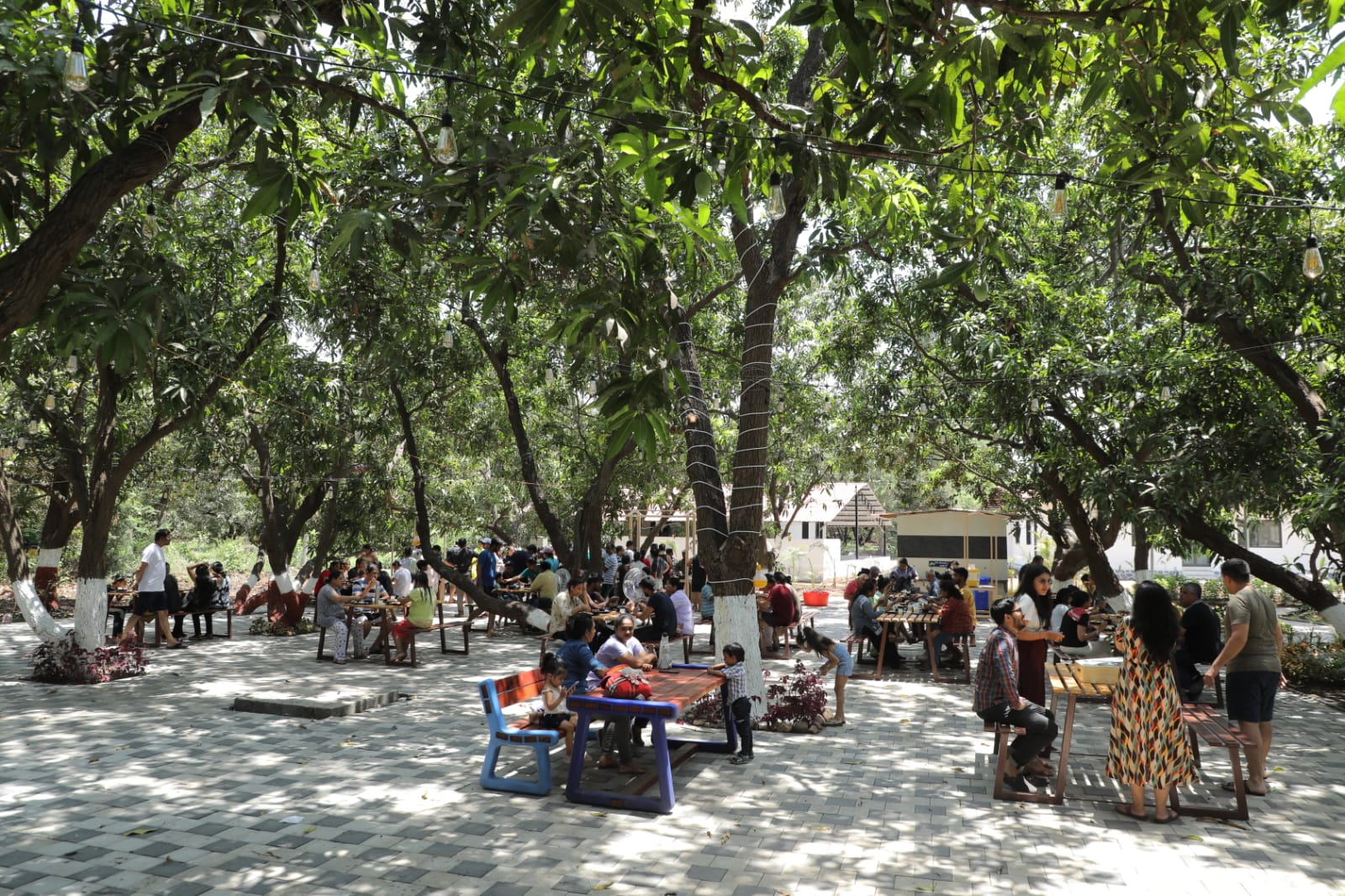 Address of Ambik Riverside Camp and Resort - Resort in Gandevi