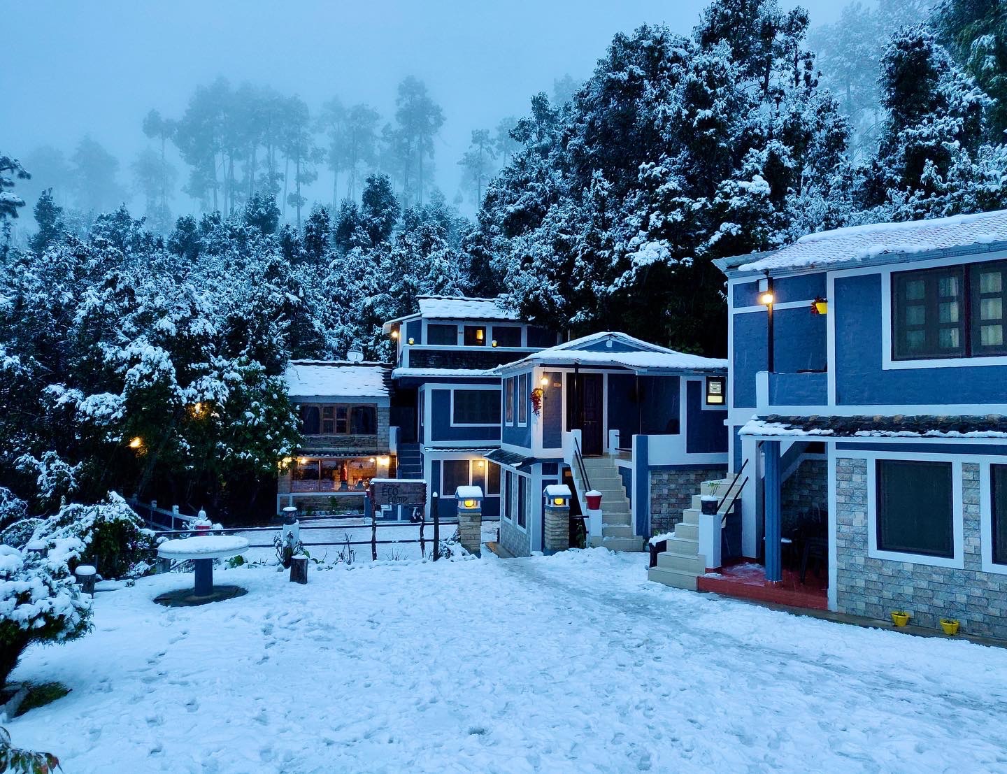 Rooms of Binsar Eco camp & Cottages - Binsar Hotel on Goibibo