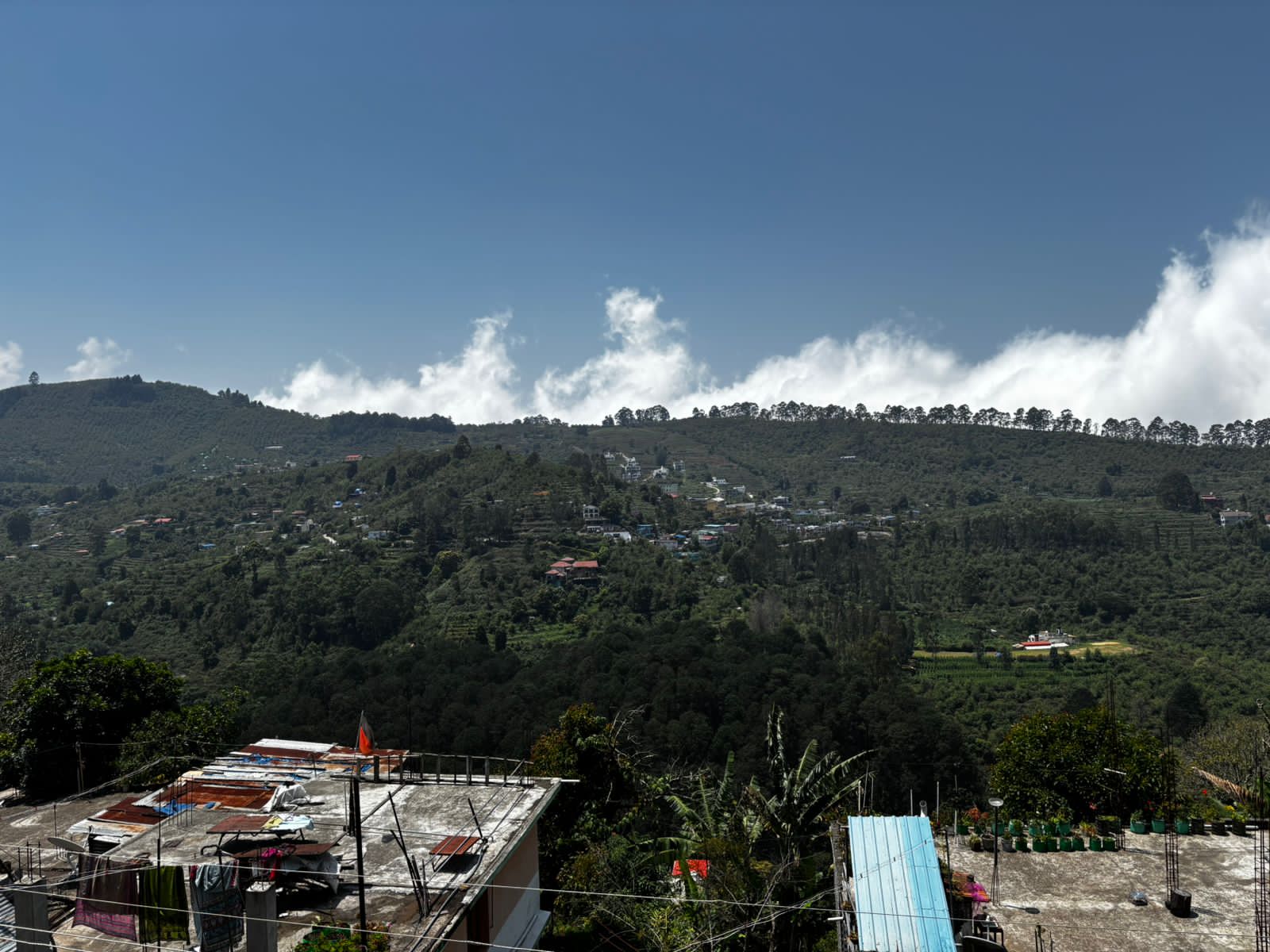 Address of KODAI CRADLE HOME STAY - Homestay in Kodaikanal