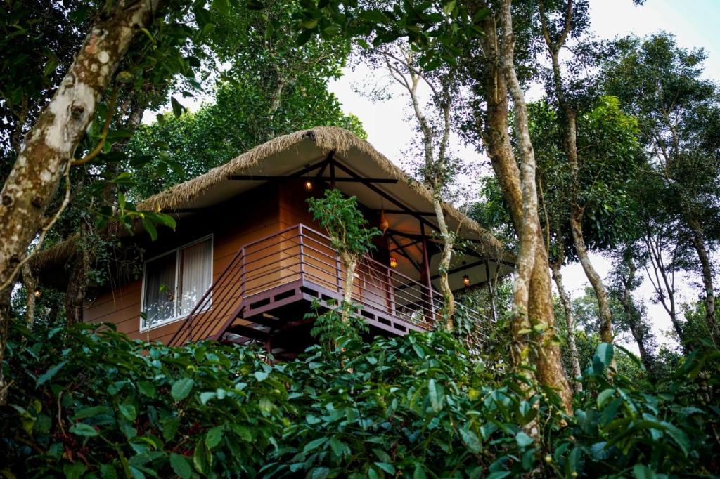 Coffee Cradle Wayanad Premium Tree House 𝗕𝗢𝗢𝗞 Wayanad Tree house