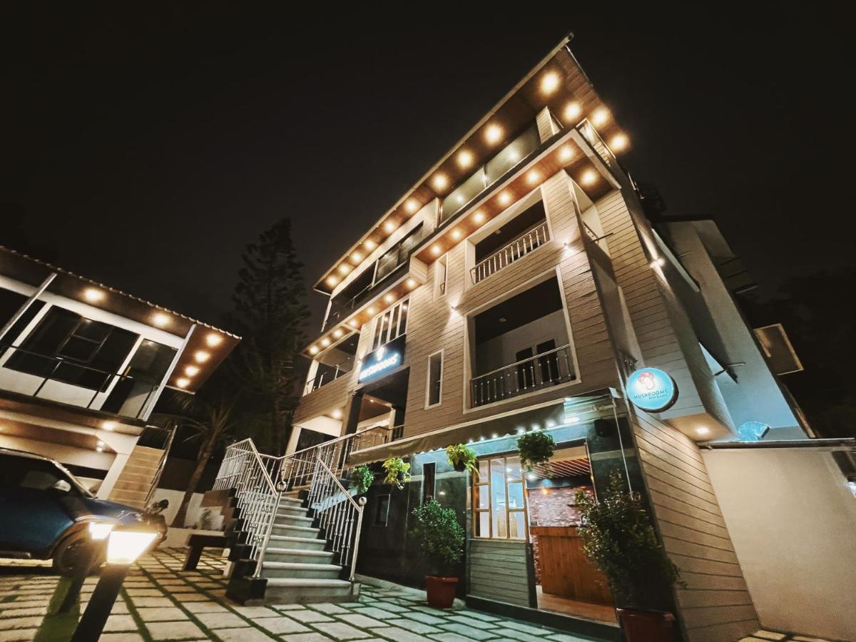 MUSHROOMS 𝗕𝗢𝗢𝗞 Goa Hostel