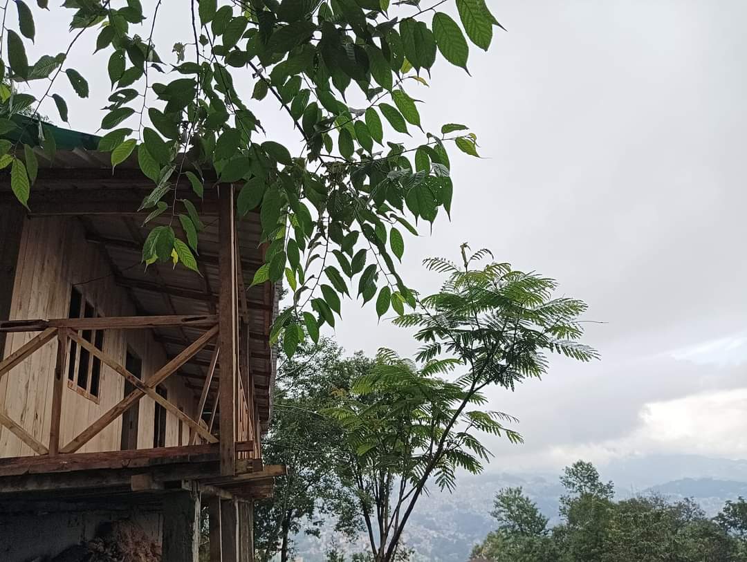 Katus Premium Cottages 𝗕𝗢𝗢𝗞 Gangtok Homestay