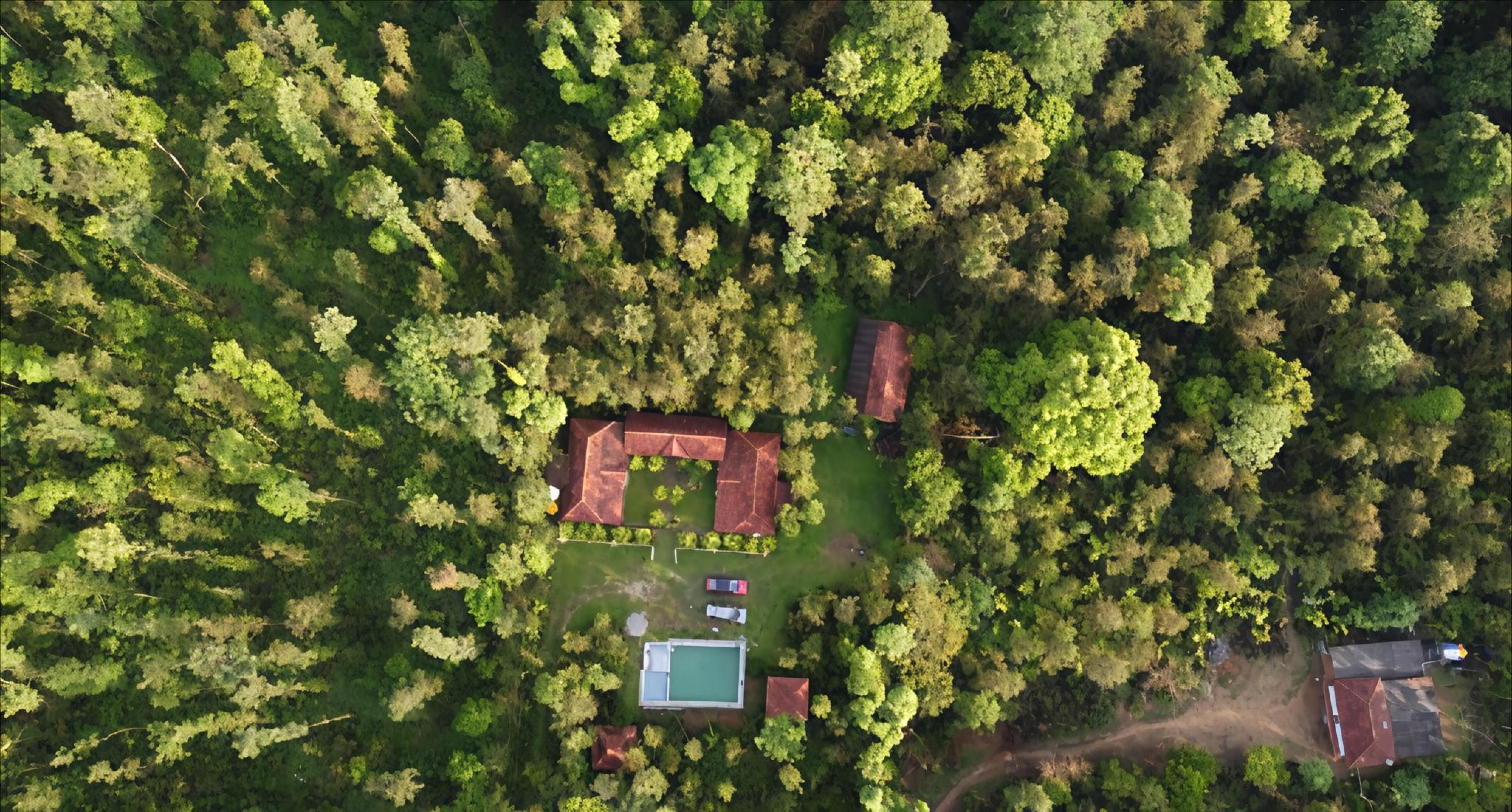 Coffee Breeze Homestay by Dazzle Destinations | Swimming Pool and ...