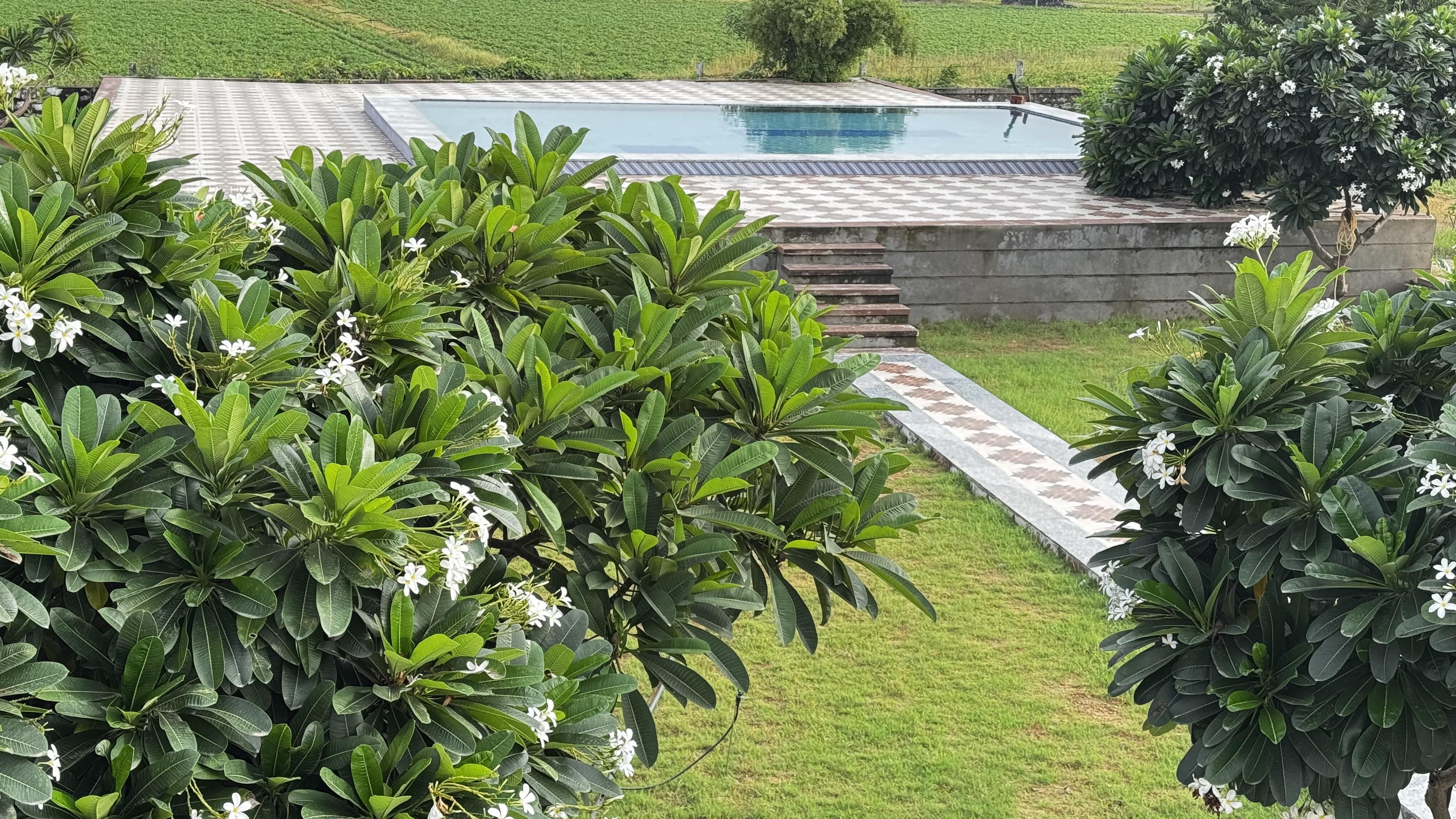 Deeprishi Palace Resort 𝗕𝗢𝗢𝗞 Reodar Resort