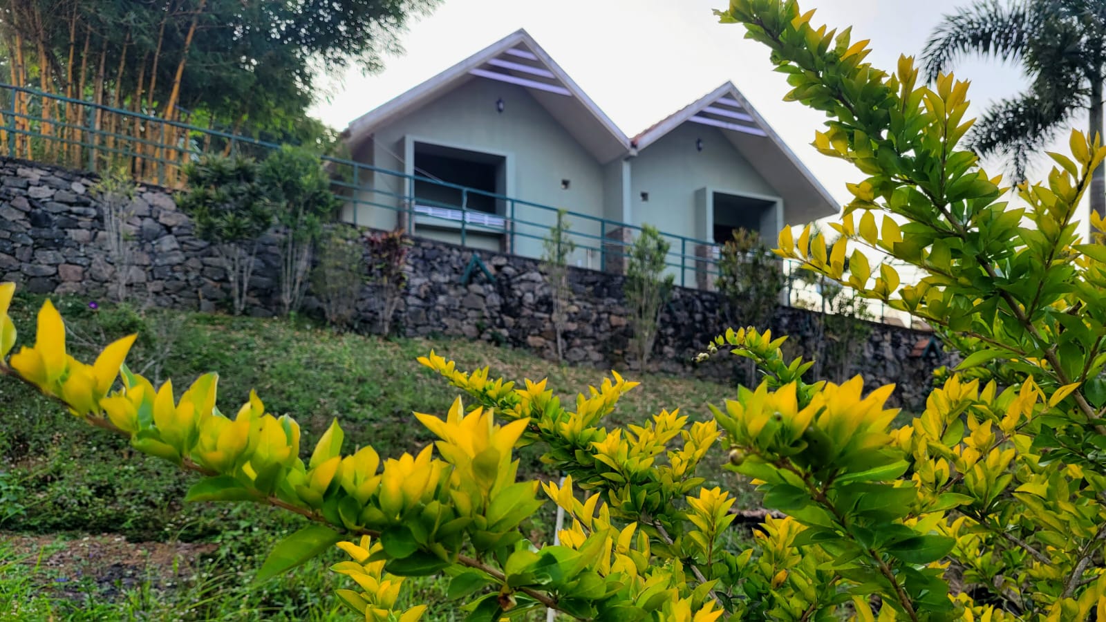 Calton Heights Cottages Munnar - Reviews, Photos & Offer