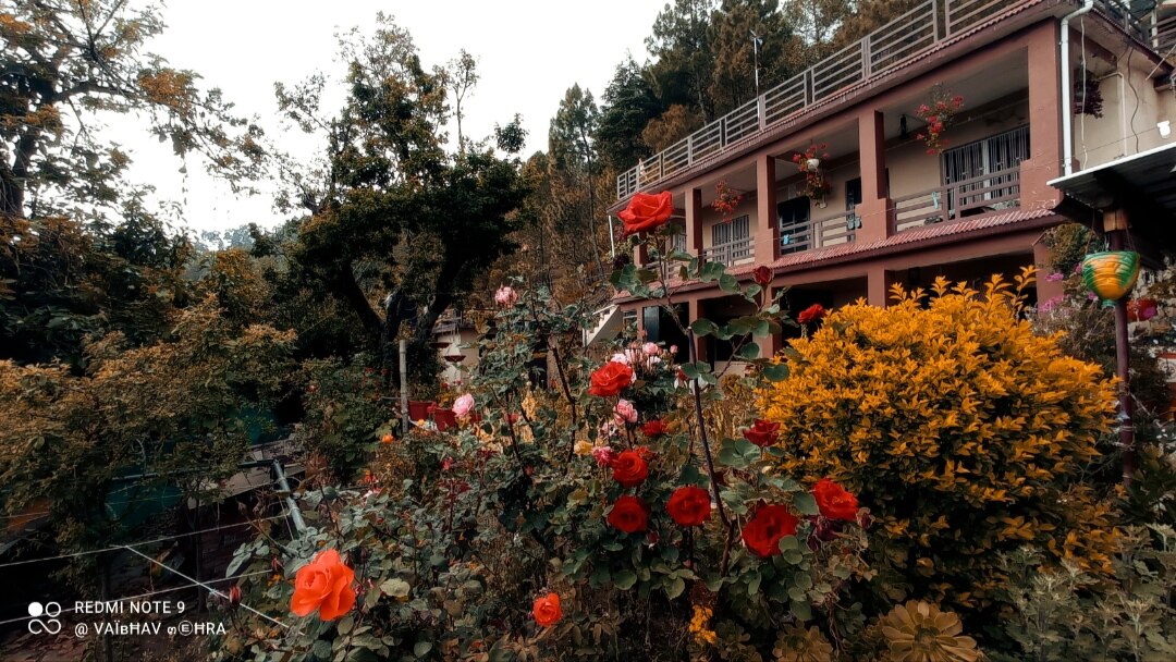 Flower House Homestay 헕헢헢헞 Binsar Homestay