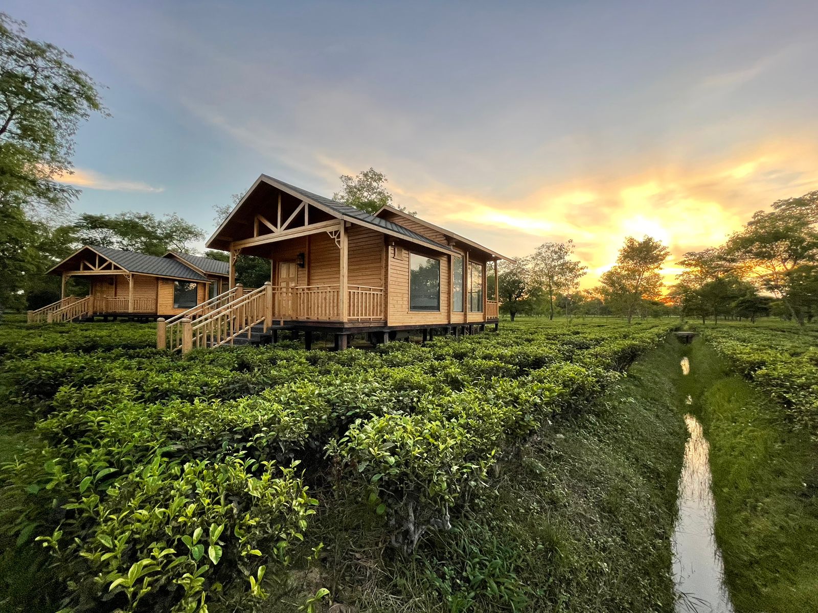 The Postcard in the Durrung Tea Estate, Assam 𝗕𝗢𝗢𝗞 Tezpur Resort