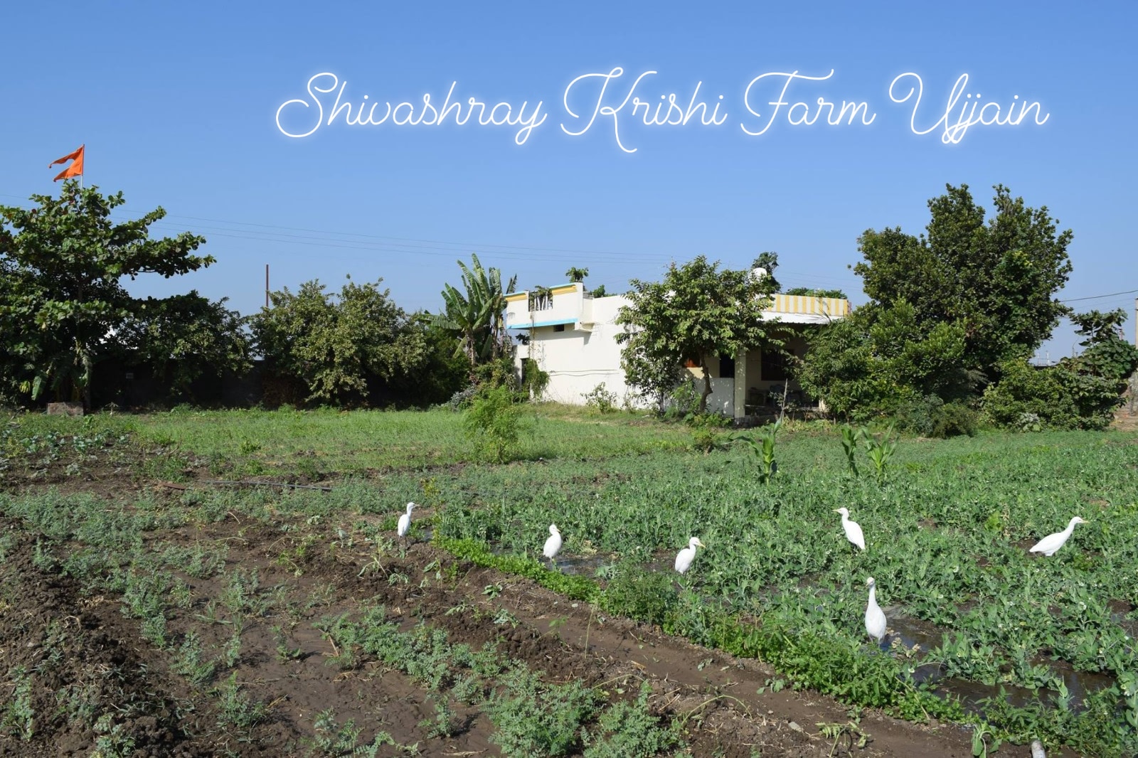 Shivashray Krishi Farm House Ujjain 𝗕𝗢𝗢𝗞 Ujjain Farm House