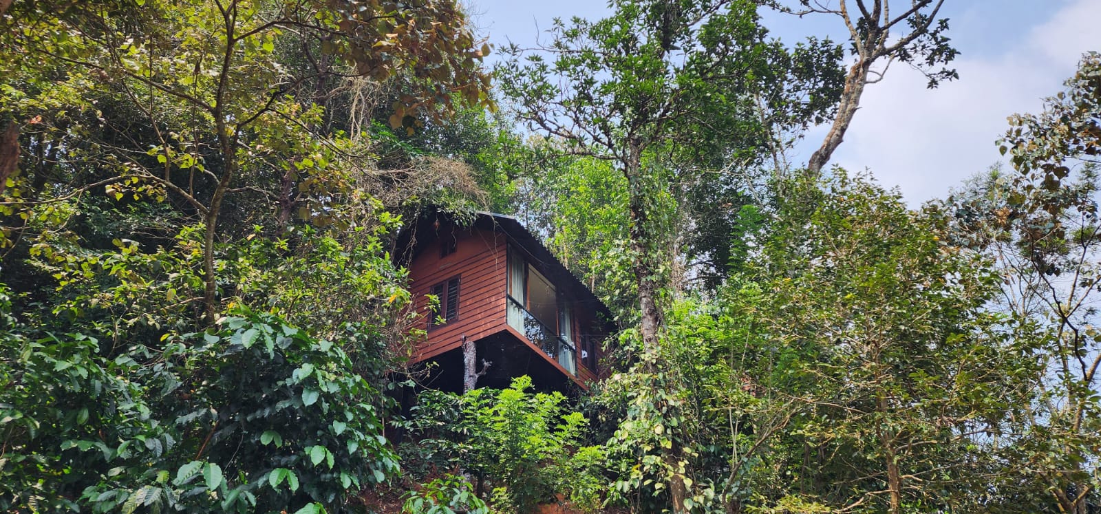 Tree6 Retreat 𝗕𝗢𝗢𝗞 Wayanad Tree house