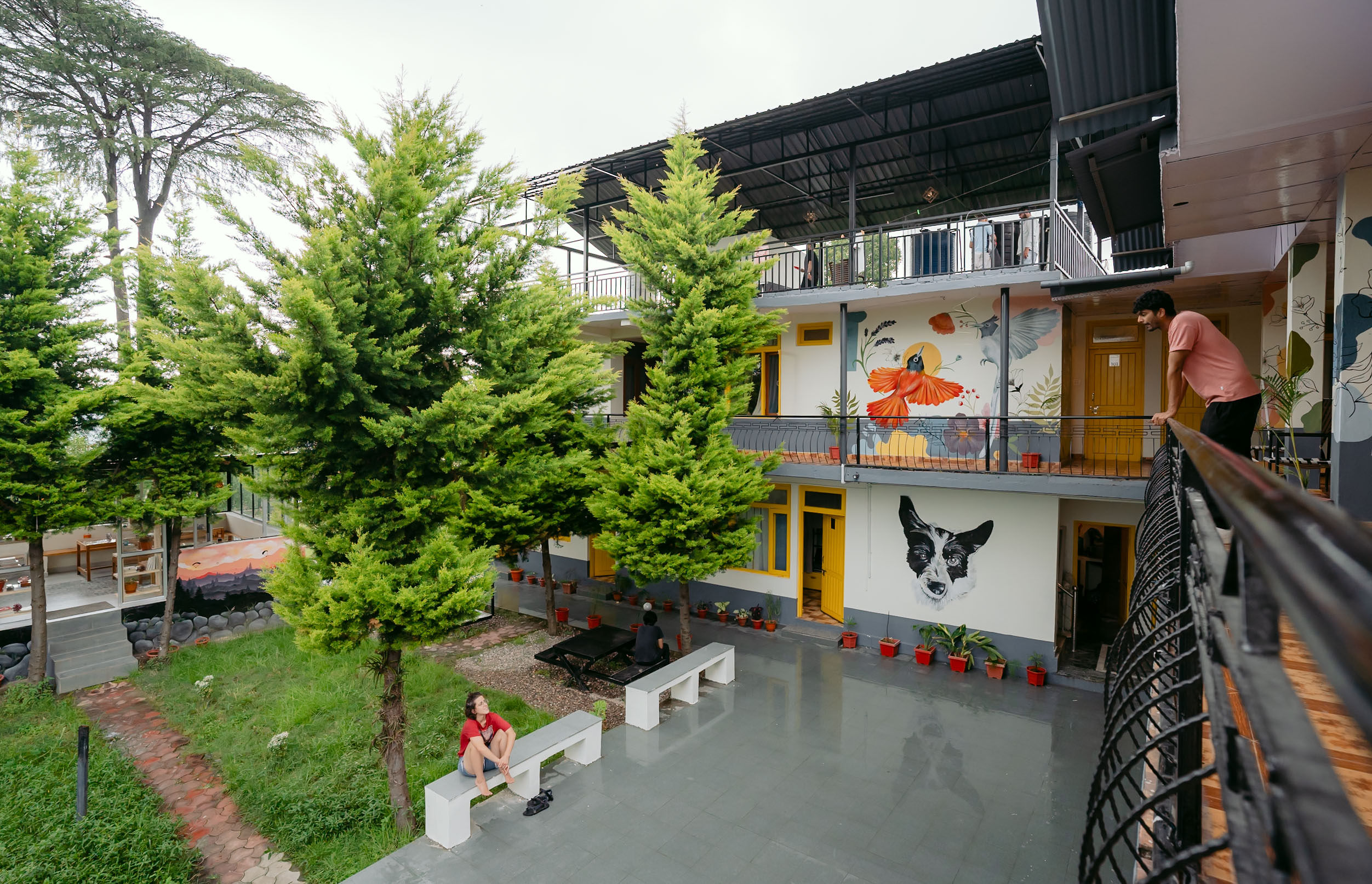 The Hosteller Bir | Rooms & Dorms 𝗕𝗢𝗢𝗞 Bir Billing Hostel