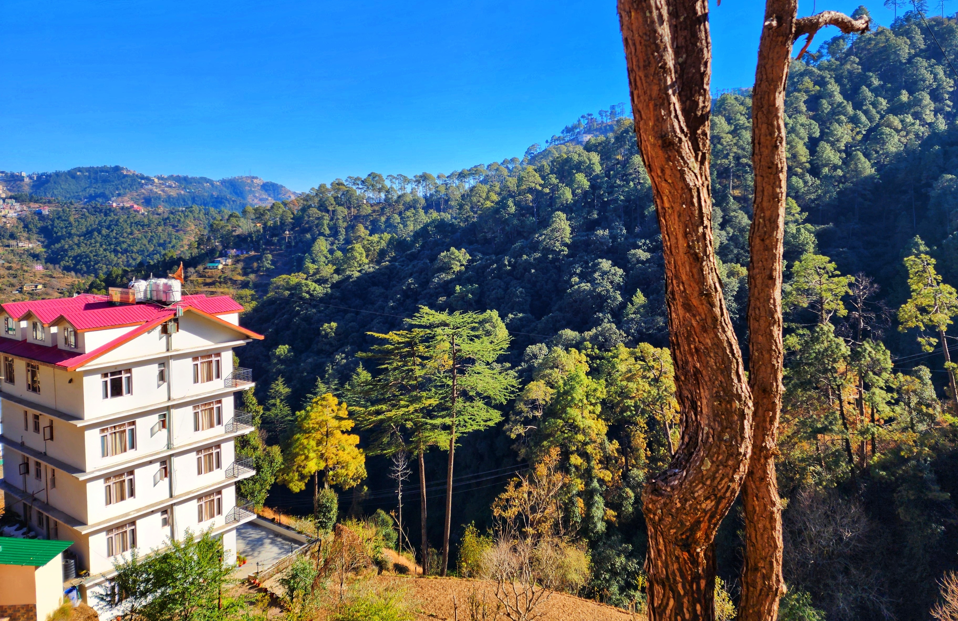 Solitude Inn by Epic Hospitality 𝗕𝗢𝗢𝗞 Shimla Homestay