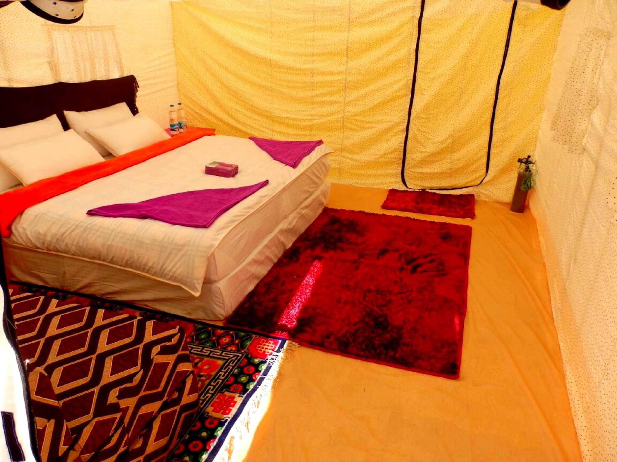 The Regal Camp 𝗕𝗢𝗢𝗞 Pangong Camp
