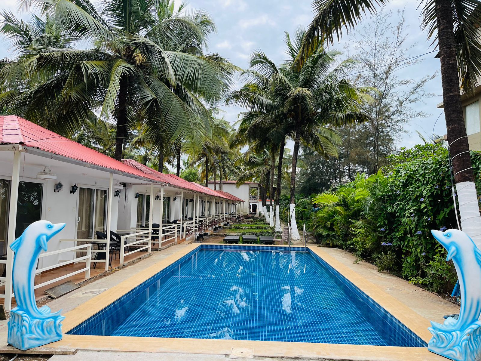 Arabian Sea Beach Resort. Goa - Reviews, Photos & Offer