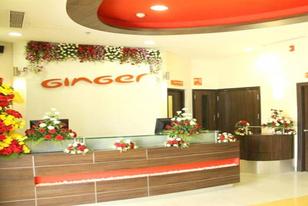 Ginger Chennai-Vadapalani Hotel Chennai - Reviews, Photos & Offers