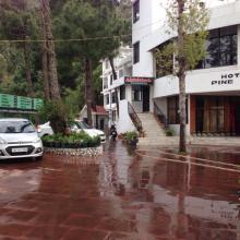 Hotel Pine Grove Solan - Reviews, Photos & Offers