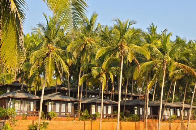 Riva Beach Resort Goa - Reviews, Photos & Offers