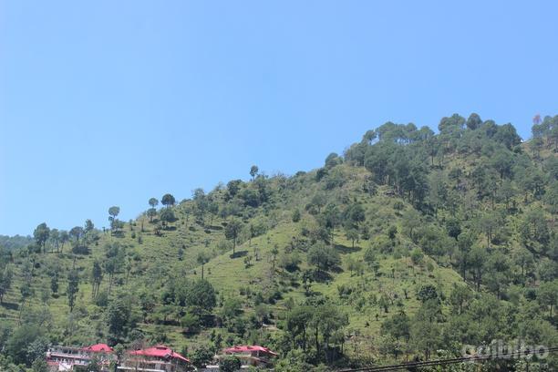 Savoy Greens Jabli - View