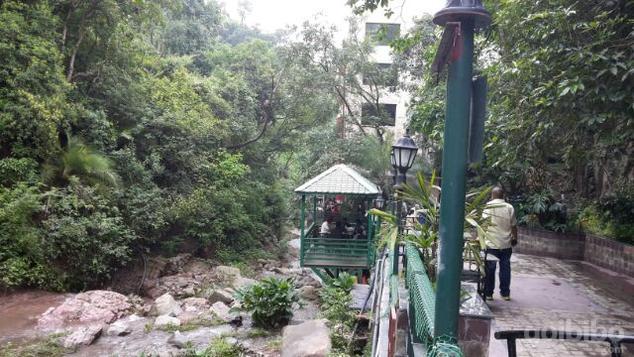 Savoy Greens Jabli - Others