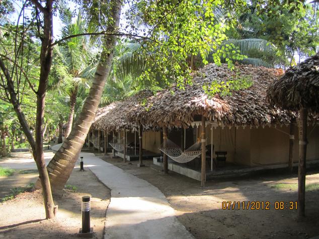 Sea Shell Neil Island Neil Island - Reviews, Photos & Offers