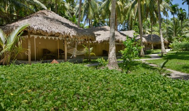 Sea Shell Neil Island Neil Island - Reviews, Photos & Offers