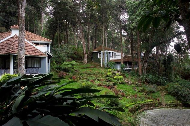 Tall Trees Resort Munnar - Reviews, Photos & Offers