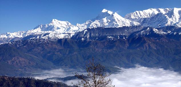 The Buransh Kausani - Reviews, Photos & Offers