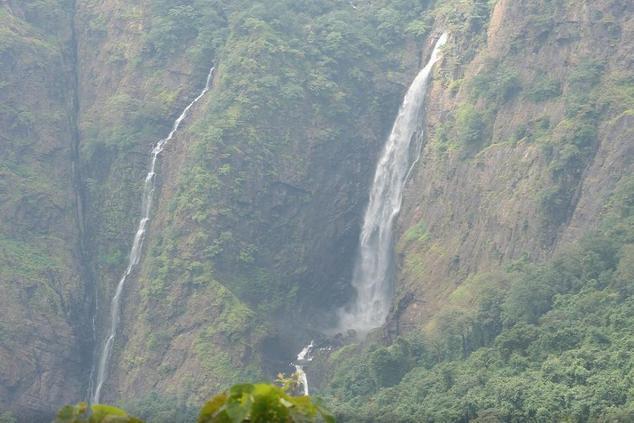 Wildernest Nature Resort Goa, Book@ ₹7200/night - Goibibo